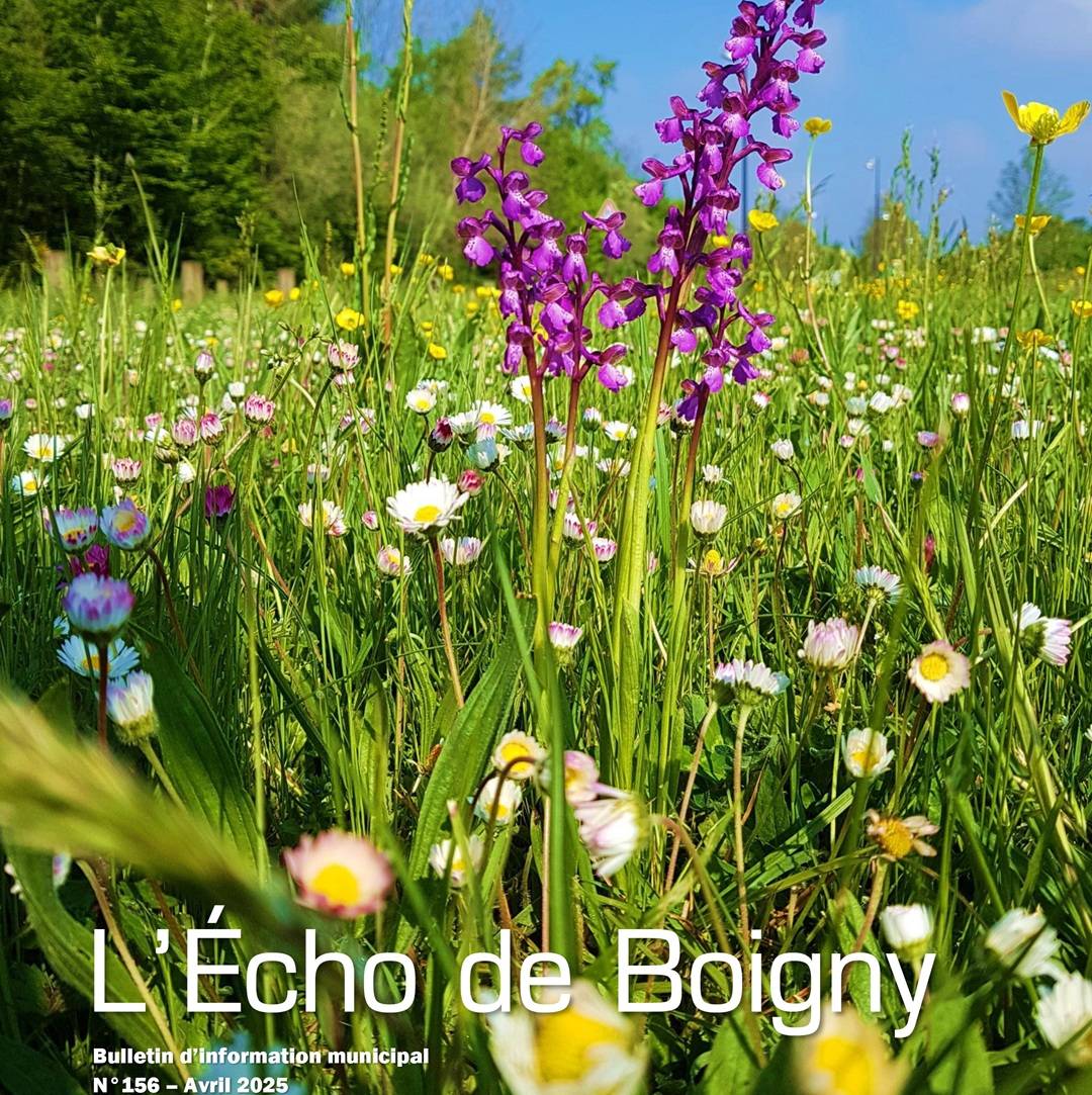 Mairie de Boigny-sur-Bionne { votre cadre de vie }